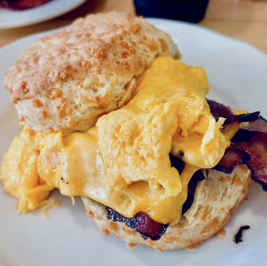 Hunny Bunny Biscuit Co.